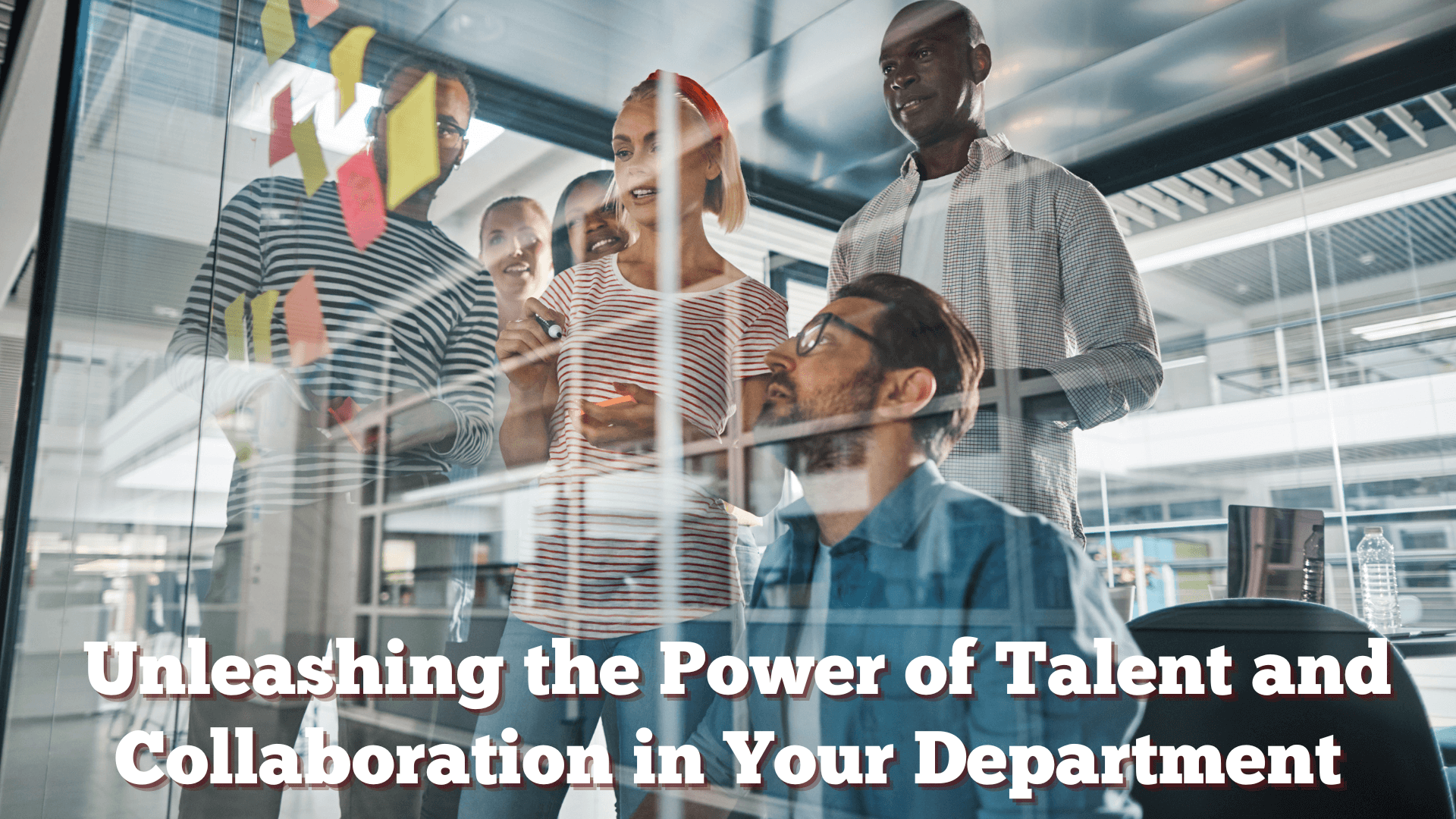 Nurturing Excellence in Your Team